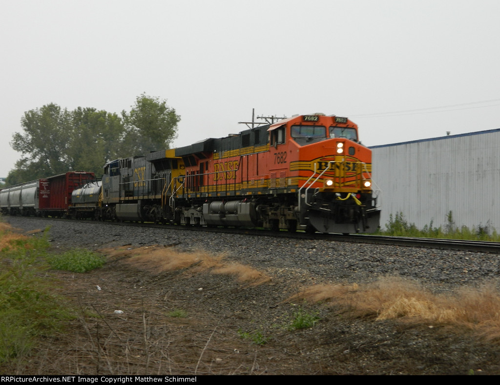 Colorful Paired Leaders